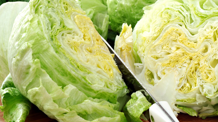 5 tips voor het kweken van ijsbergsla – De Tuin Op Tafel